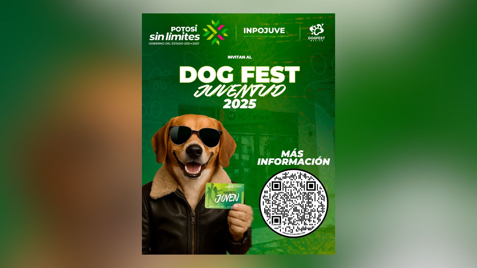 Dog Fest Juventud 2025 invita a una jornada de adopción y ...